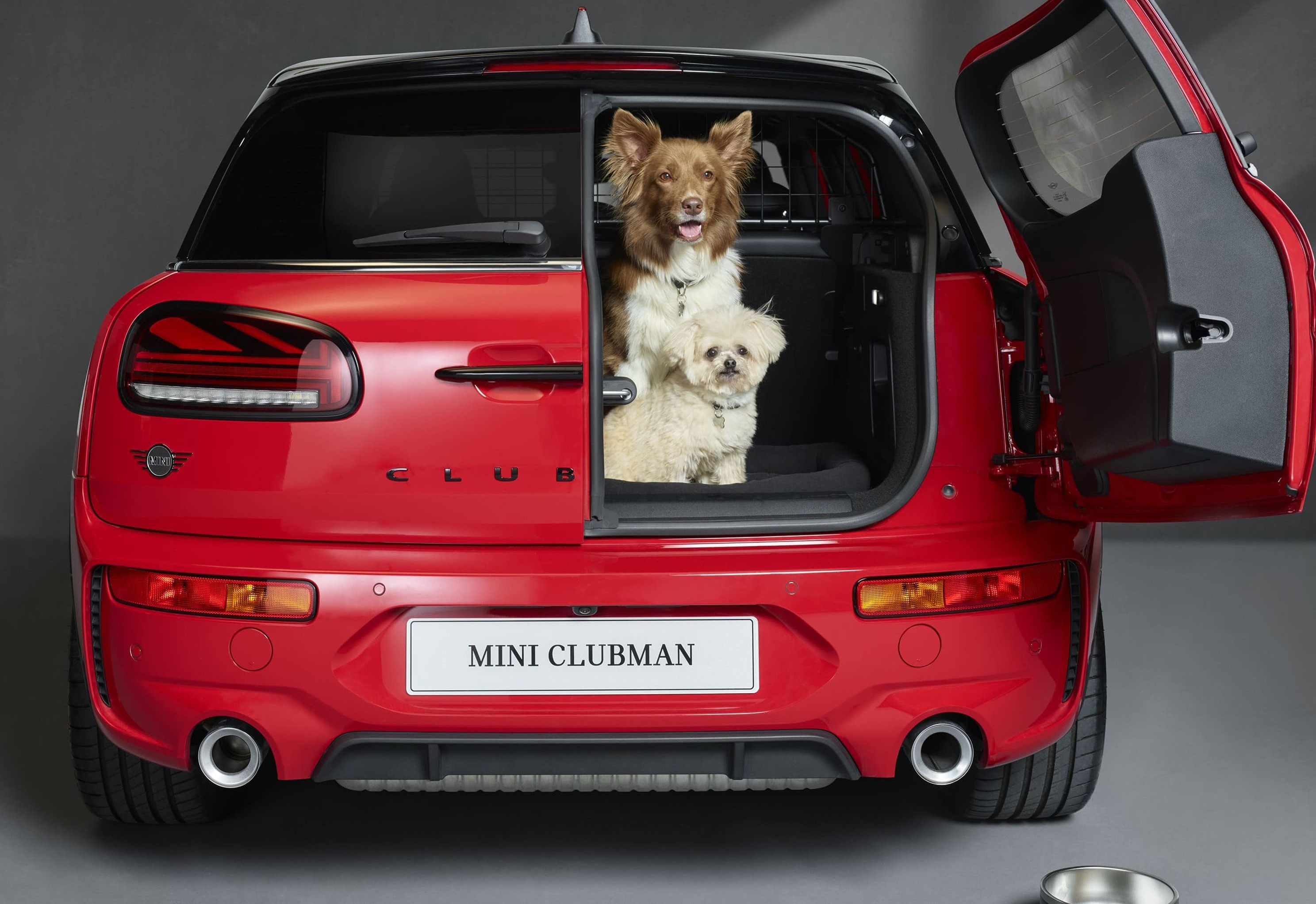 Choosing a Dog Friendly Car | MINI Dogs Hub | MINI UK