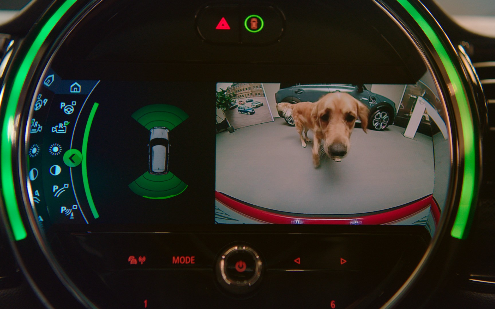 Why MINI Clubman Is The Best Car For Dogs | MINI UK